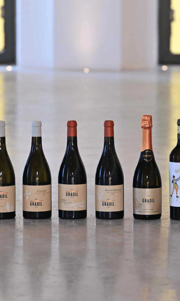 Wine Tasting Quinta do Gradil | Wine Tourism in Portugal