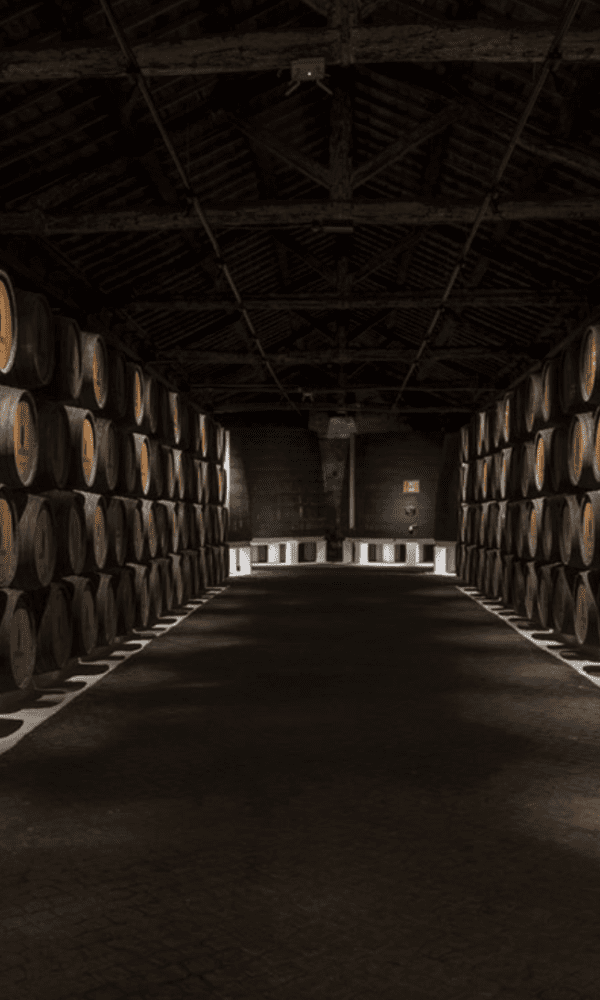 Visit Caves Sandeman Wine Taste | Wine Tourism in Portugal