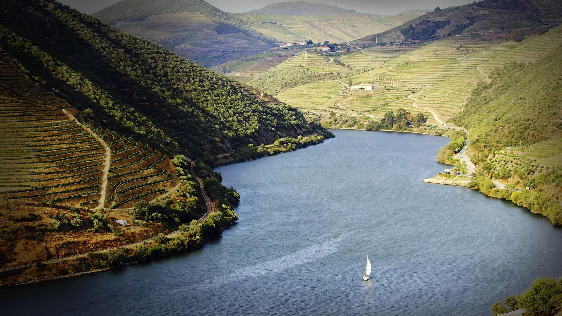 5-Day Douro Valley Tour with 2-Hour River Cruise